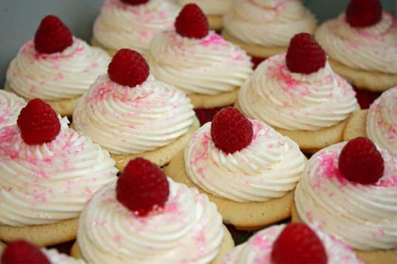 White Velvet Raspberry - JavaCupcake